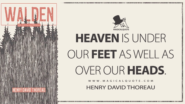 50 Brilliant Henry David Thoreau Quotes - MagicalQuote