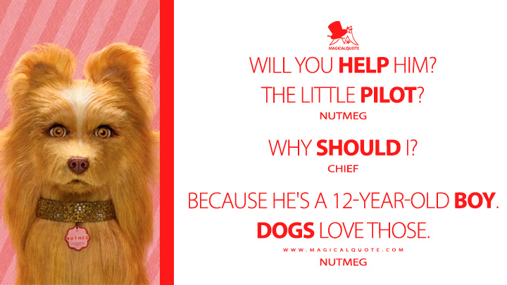 32 Famous Wes Anderson Movie Quotes - MagicalQuote