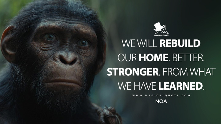 The Best Movie Quotes of 2024 - MagicalQuote