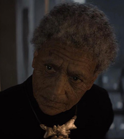 Our misfortunes are the sails that take us to the shores we are meant ...