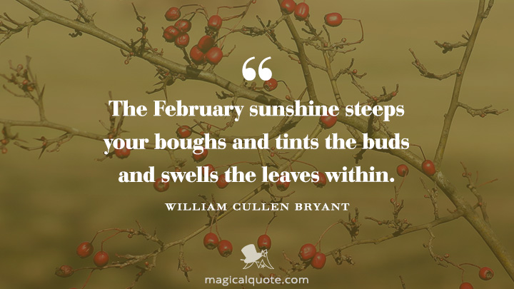 20 Heartfelt Quotes for February - MagicalQuote