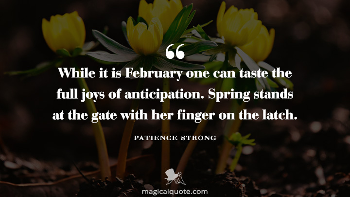 20 Heartfelt Quotes for February - MagicalQuote
