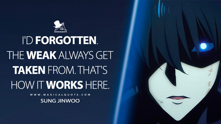 Solo Leveling (Anime) Quotes - MagicalQuote