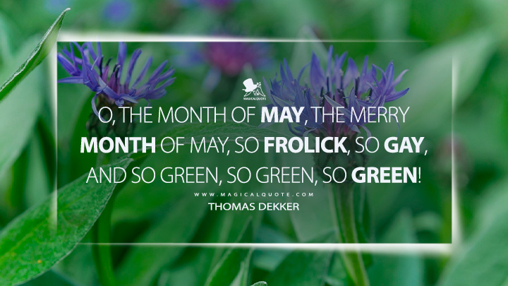 20 Beautiful Quotes That Capture the Spirit of May - MagicalQuote