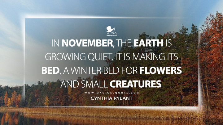 20 Heartwarming November Quotes - MagicalQuote