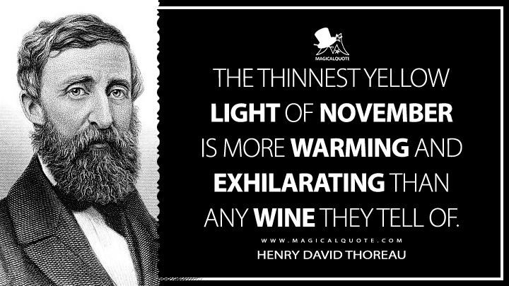20 Heartwarming November Quotes - MagicalQuote